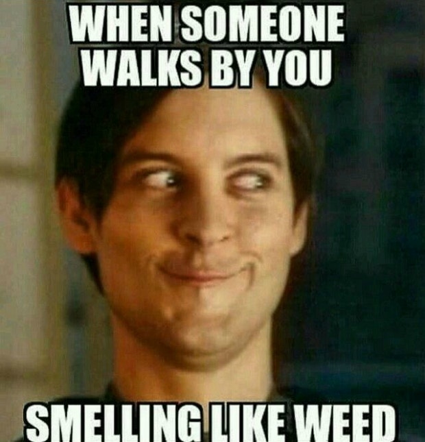 These 25 Funny Memes About Smoking Weed Are Totally Relatable And Totally True Yourtango